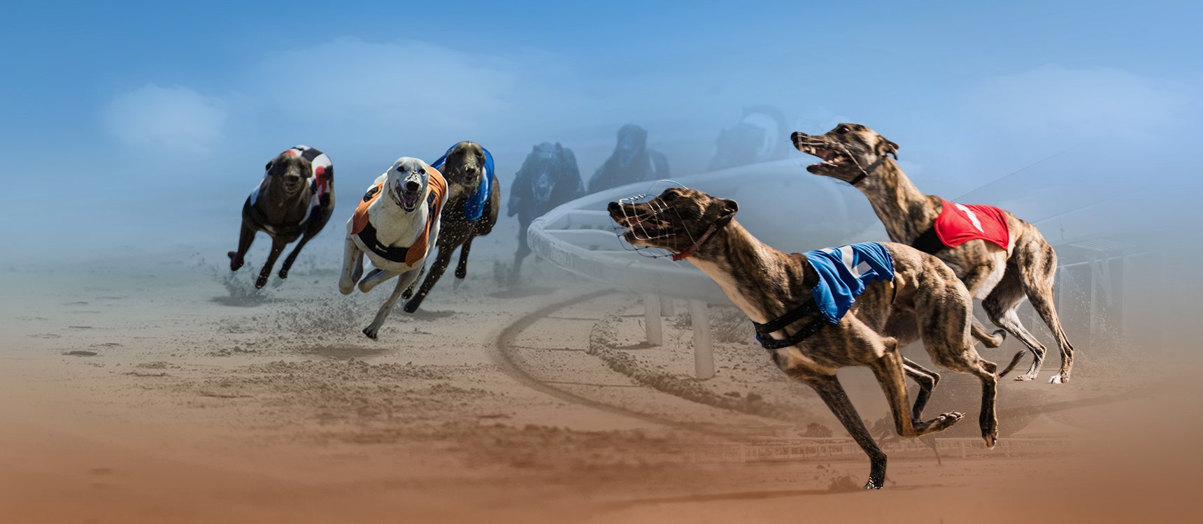KM Virtual Hound Racing - SuperAce88